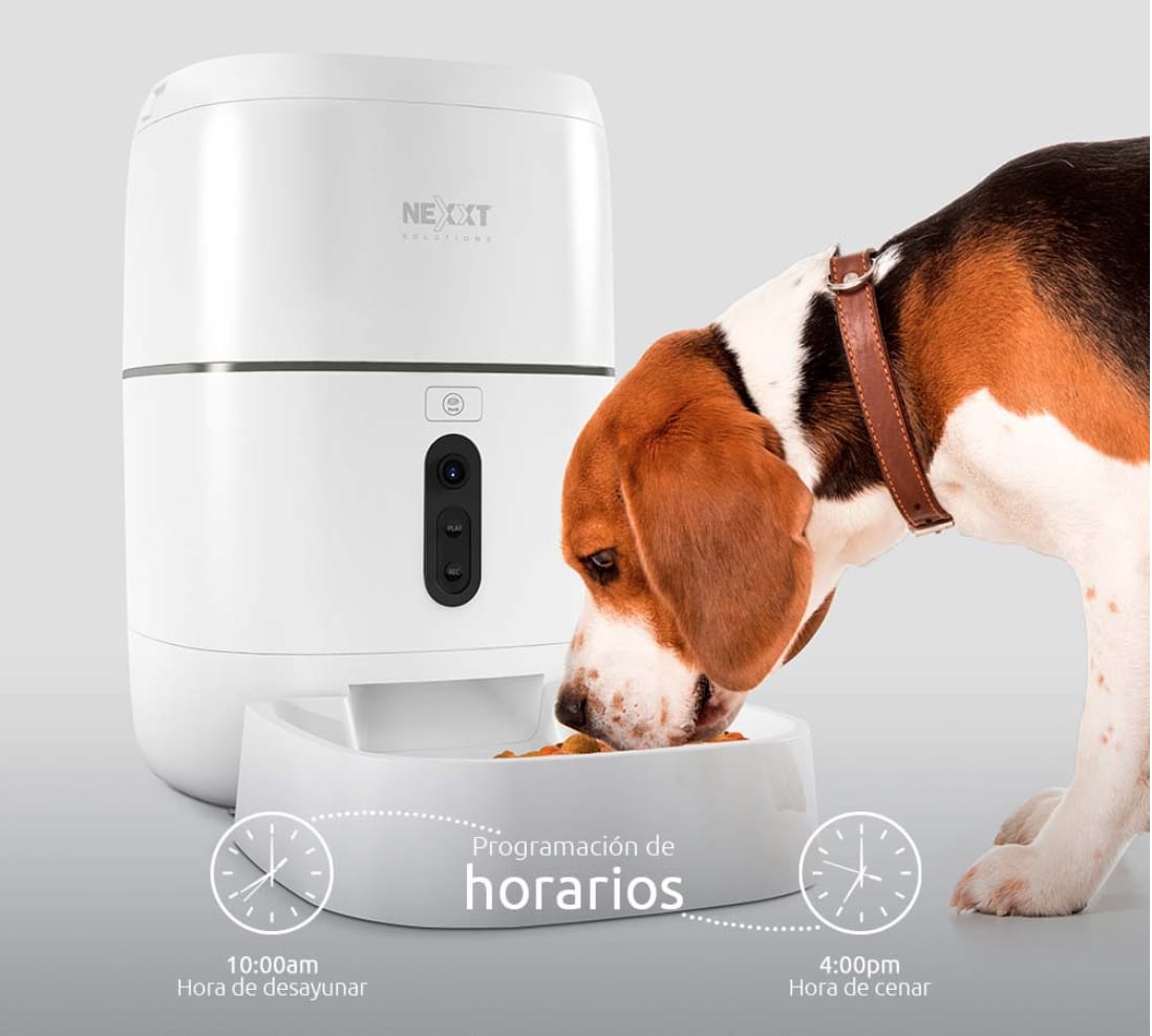 Nexxt Solutions presenta su dispensador inteligente de alimento para ...